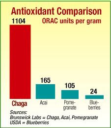 Health Benefits of Chaga - Organic Chaga Mushroom