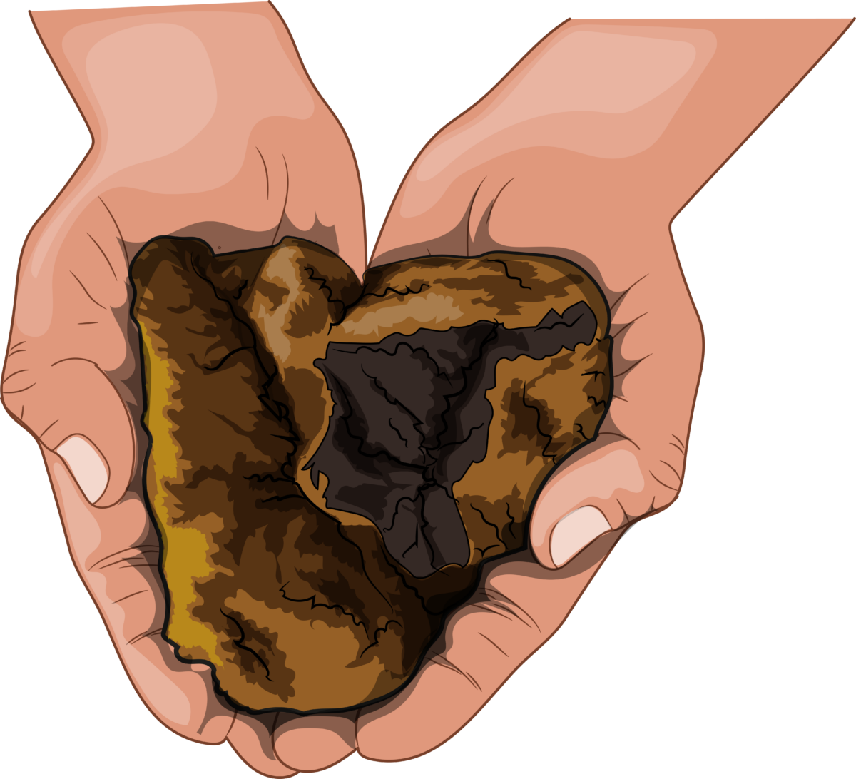 HEALTH BENEFITS - Chaga Mushroom